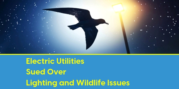 Inside Lighting | Insights & Info for Lighting People